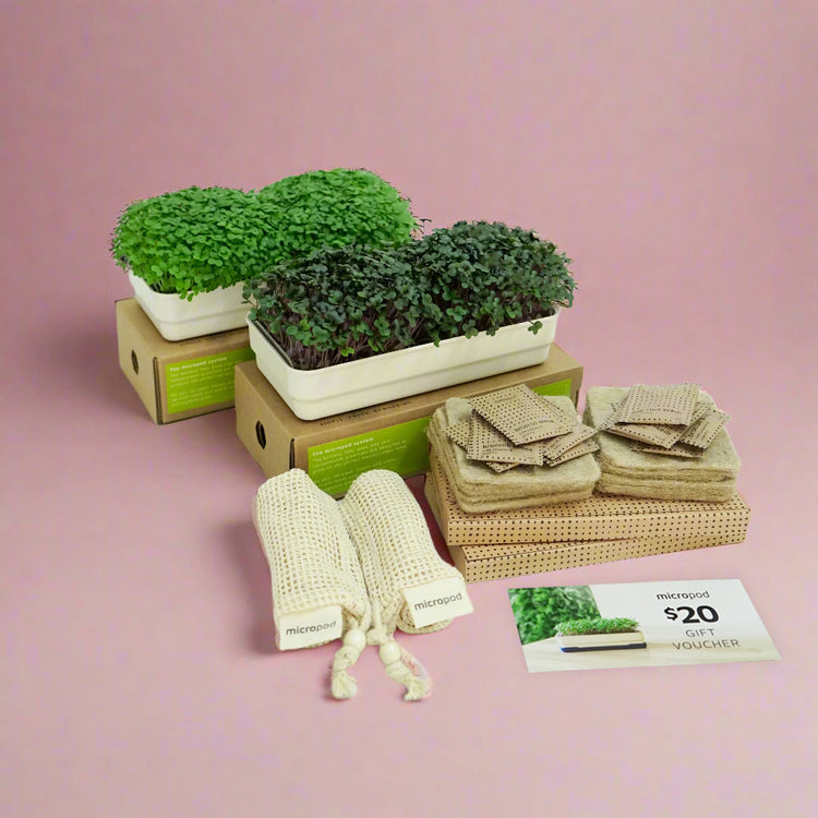 Grow microgreens at home with our soilless kits – micropod