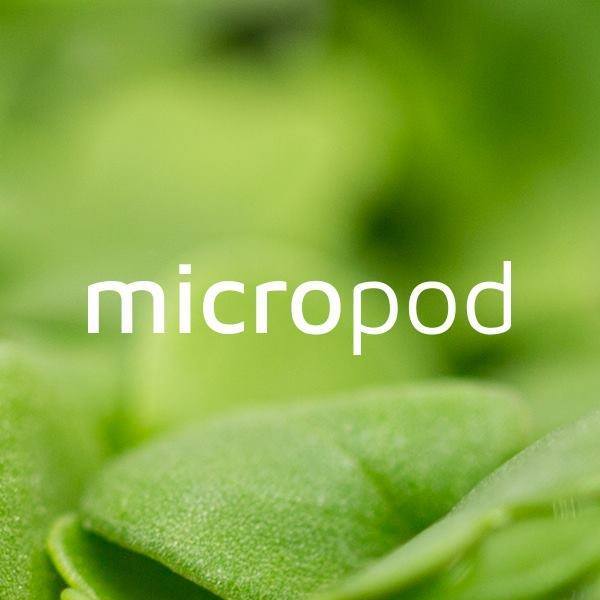 Grow microgreens at home with our soilless kits – micropod