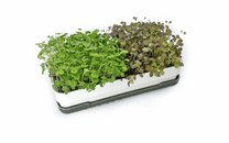 STARTER KIT – micropod